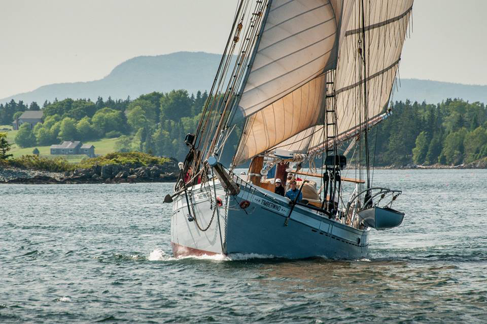Avalon: A Sailor's Resource Guide